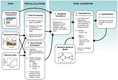 Workflow For Integrating Multiple Data Types With Team Team Integrates