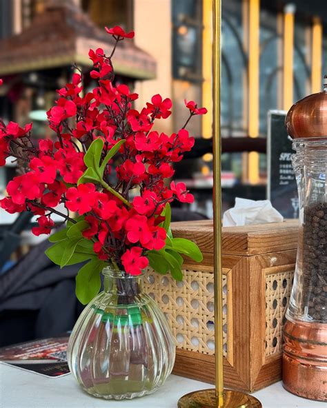 სალომეს ჩინური დღიურები Added A სალომეს ჩინური დღიურები