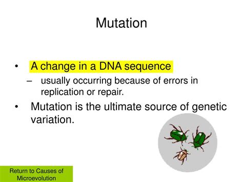 Ppt Microevolution Powerpoint Presentation Free Download Id371162