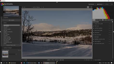 Active Module List Not Correctly Updated Darktable