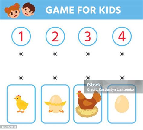 유치원 아이들을위한 교육 논리 게임 닭의 수명 주기 순서대로 정렬합니다 개발에 대한 스톡 벡터 아트 및 기타 이미지 개발 경기 스포츠 교육 Istock