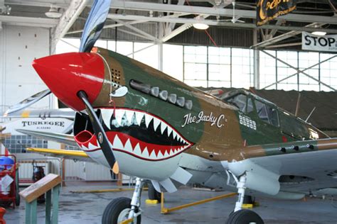 P 40 Warhawk Armament