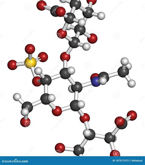 硫酸软骨素短片段 软骨的重要成分 作为膳食补充剂在骨关节炎治疗中的应用 库存例证 插画 包括有 酸化 编码 187977473