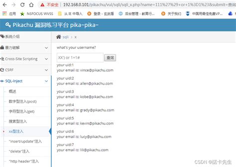 網絡安全：sql注入攻击技术初探sql注入状态码500 Csdn博客