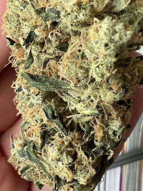 Fg Mac1 And Sour Sex Wax Rcultofthefranklin