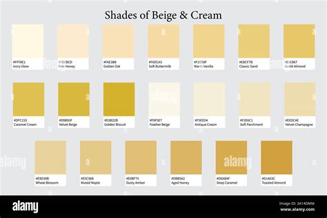 Color Palettes 20 Shades Of Beige And Cream Ivory Sand And Vanilla Colors With Hex Codes