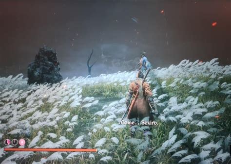 Its My Sanity Or Beating This Dude At This Point R Sekiro