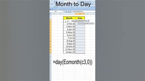 Eomonth Formula Excel Tips Excel Excelformula Shorts