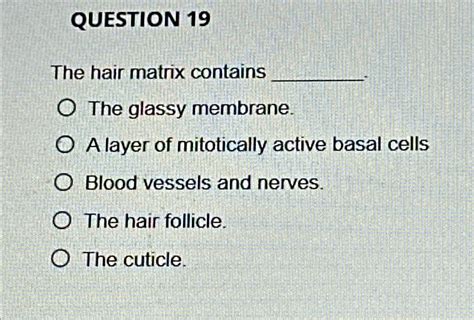Solved Question 19the Hair Matrix Containsthe Glassy
