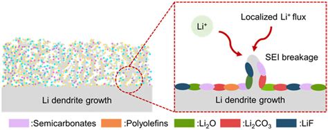 Schematic Illustration Of A Li Dendrite With Various Sei Components
