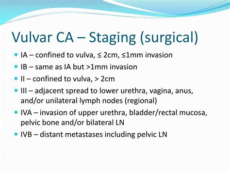 Vulva Cancer Cancerindex