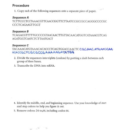 Solved Translate The MRNA Into Protein Using The Genetic Chegg Com