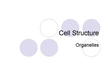 PPT Cell Structure PowerPoint Presentation Free To Download Id 6aecd1 YTE5M