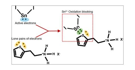 Adjusting The Crystallization Of Tin Perovskites Through Thiophene