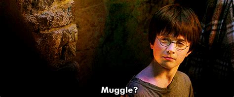 setting up masscan web ui — version for muggles by amora the