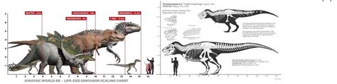 Velociraptor Vs T Rex