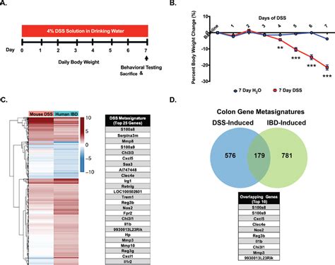 The 7 Day Dss Treatment Protocol Caused Significant Weight Loss And A Download Scientific
