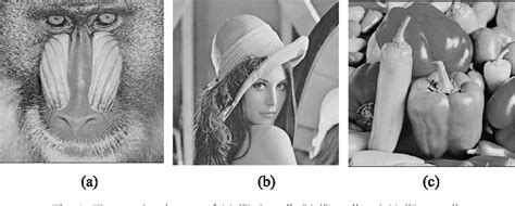 Figure 2 From An Adaptive Clustering Algorithm For Color Quantization Semantic Scholar