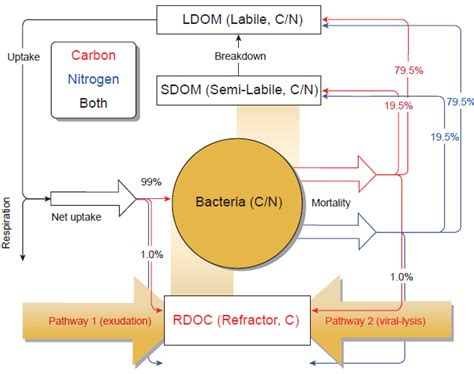 Schematic Diagram Of The Mcp Module Lu Et Al 2018 Schematic Download Scientific Diagram