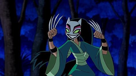 Cheshire Gallery Teen Titans Wiki Fandom