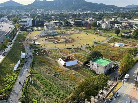 서울시 열린송현녹지광장 가을꽃 20만본 만개한 도심 속 정원으로의 초대 경인투데이뉴스