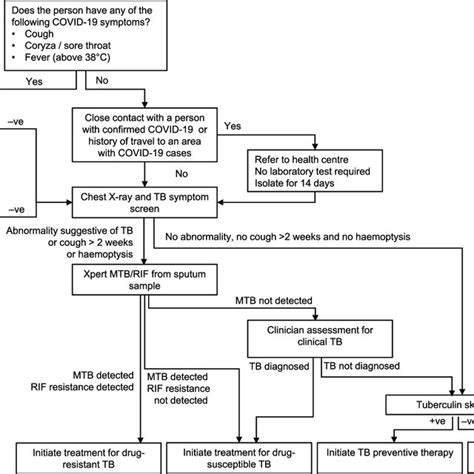 Summary Of The Original Plans For A TB ACF Program In Yogyakarta Indonesia Download
