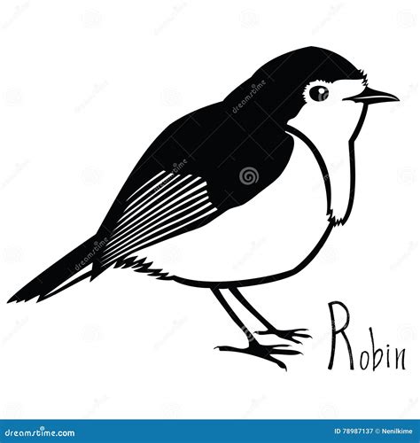 Birds Collection Robin Black And White Vector Stock Vector