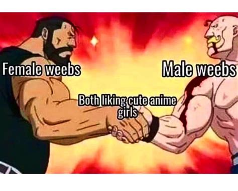 Weebs In Agreement Ranimedreammemes2