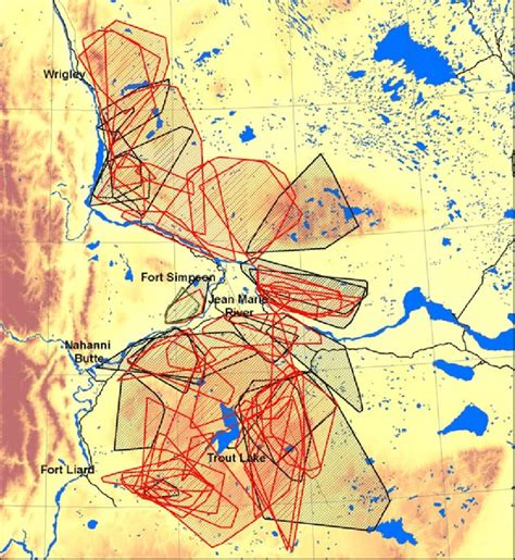 Home Range Estimates 100 Minimum Convex Polygon Mcp Of 50 Collared Download Scientific