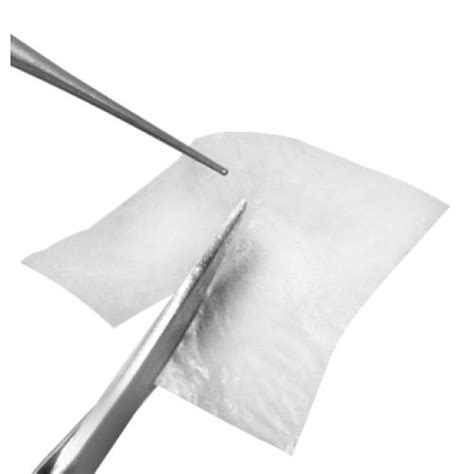 Verashield Ii™ Dual Layer Amnion Membrane 20mm X 30mm — Avtec Surgical
