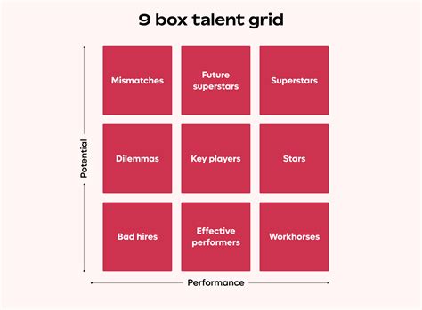 A Guide To Talent Mapping For Hr Professionals
