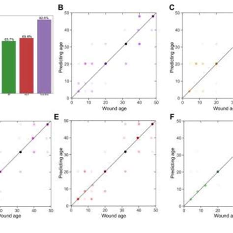 The Results Of Comparison Between Models A The Accuracies Of Internal
