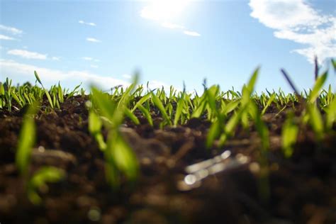 Более 13 тысяч гектаров земель сельхозназначения введено в оборот в Нижегородской области в 2024