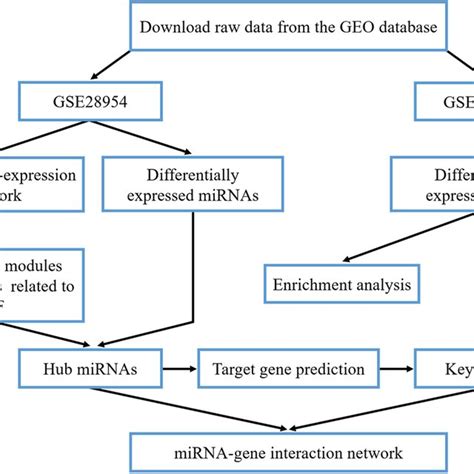 Flow Chart Of Data Preparation Processing Analysis And Validation