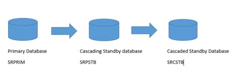 Cascading Standby Database In 11g Shivananda Rao