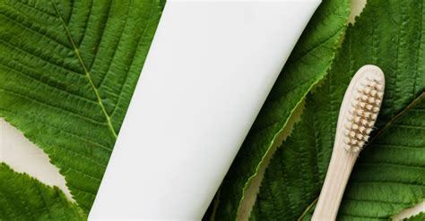 개인 관리 건강 구성 깨끗한 녹색 대나무 대안 돌보다 디자인 레이아웃 목업 미니멀리스트 밤나무 잎 비어