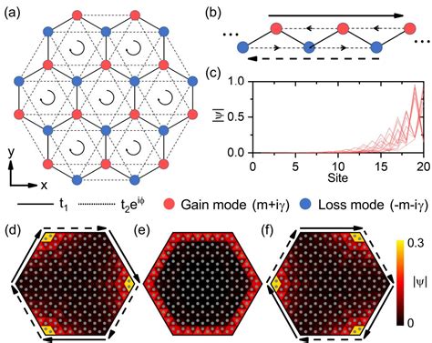 Discovering A Hybrid Skin Topological Effect Induced By Gain And Loss