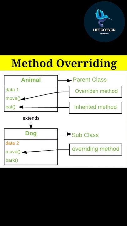 What Is Method Overriding L Java Interview Questions Youtube