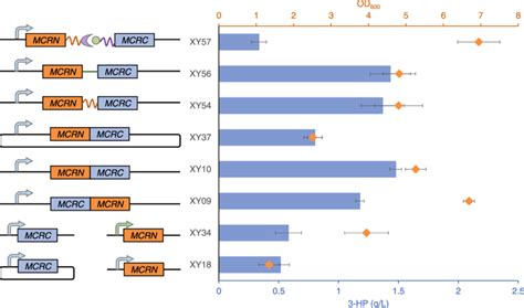 Optimization Of Mcr Expression The Left Side Represents The Way Of Mcr Download Scientific