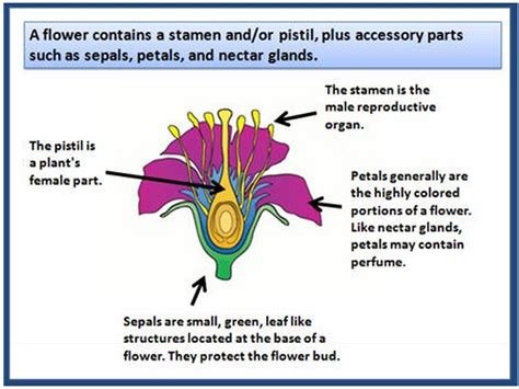 Coherence Principle Less Material For Better Learning E Learning Heroes