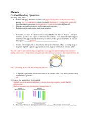 Unit2 GRQ 2 Meiosis Docx Meiosis Guided Reading Questions Reading 8