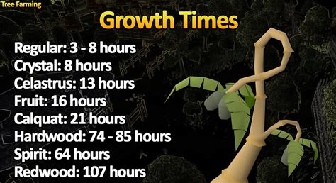 Complete Tree Farming Guide For Osrs Tree Run Guide