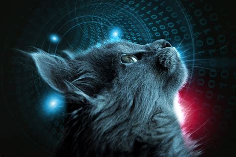 What Is Tomcat The Original Java Servlet Container Infoworld