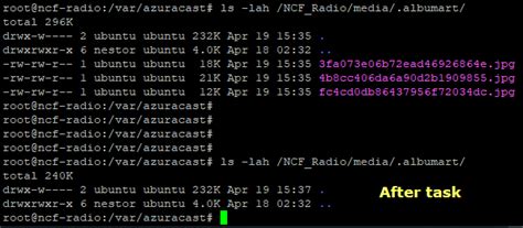 Album Art Files Are Being Erased After Some Time Issue 4040