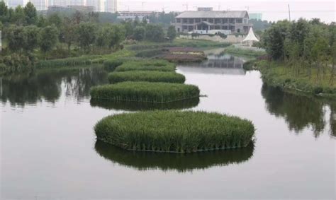 生态浮岛如何既好看又实用 谈生态浮岛设计及植物选择 陕西丞海水务工程有限公司
