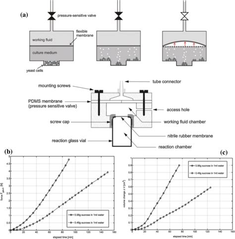 A Schematic Illustration Of The Ethanol Fermentation Bioreactor For Download Scientific Diagram