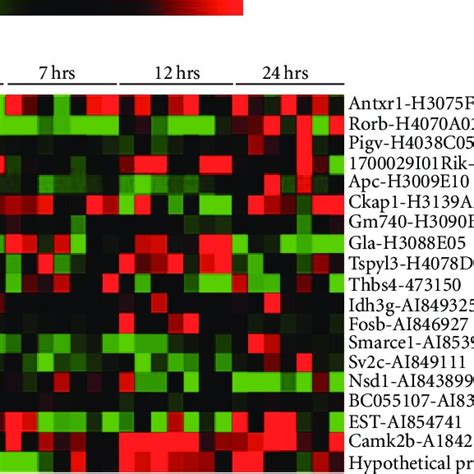 Expression Of The 19 Selected Genes Microarray Results Are Shown In