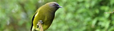 Ai Summit And Hackathon Series Ai Forum