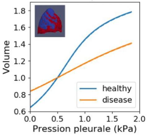 Estimated Behavior For Healthy And Fibrotic Areas The Fibrotic Area Is Download Scientific