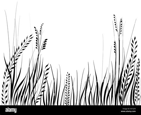 How To Draw Grass In Black And White